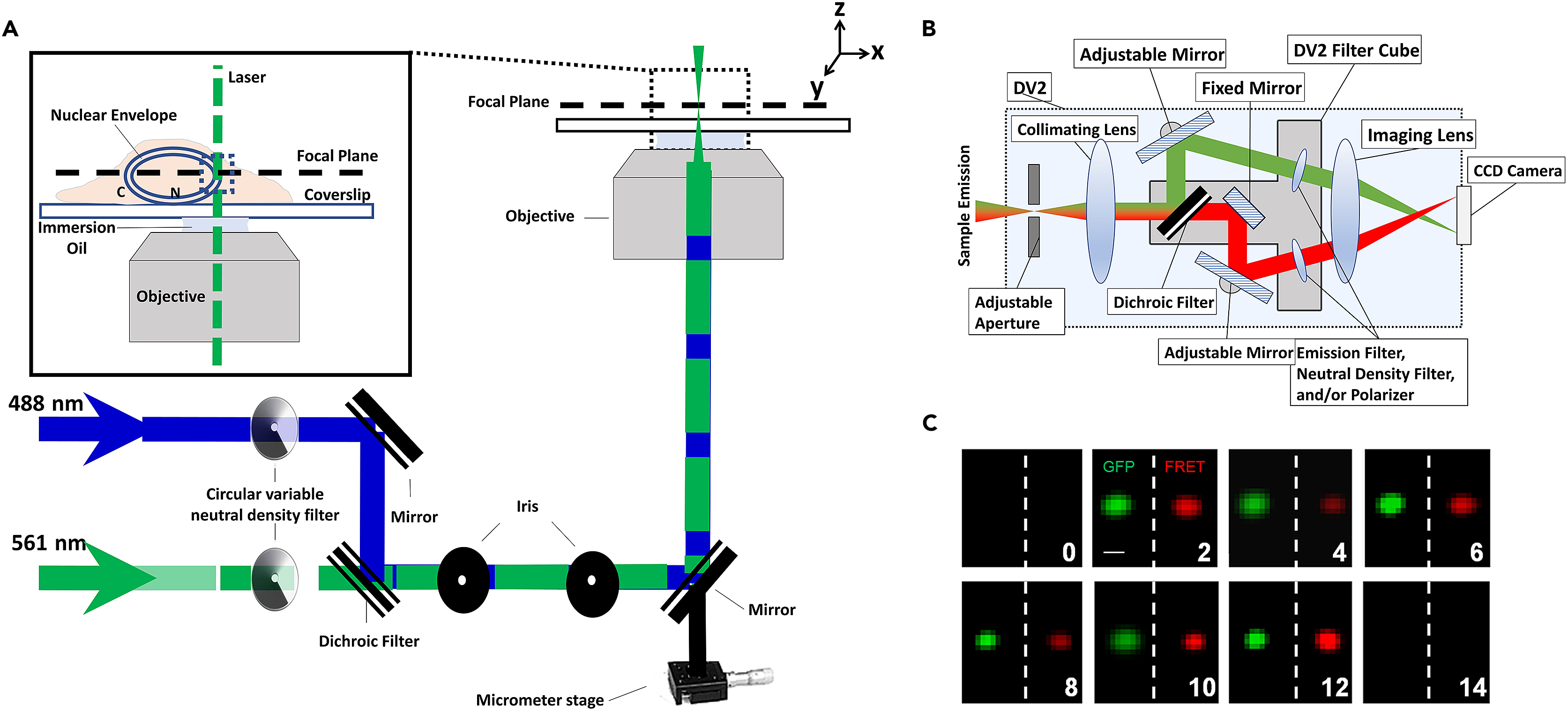 Cell Press: STAR Protocols