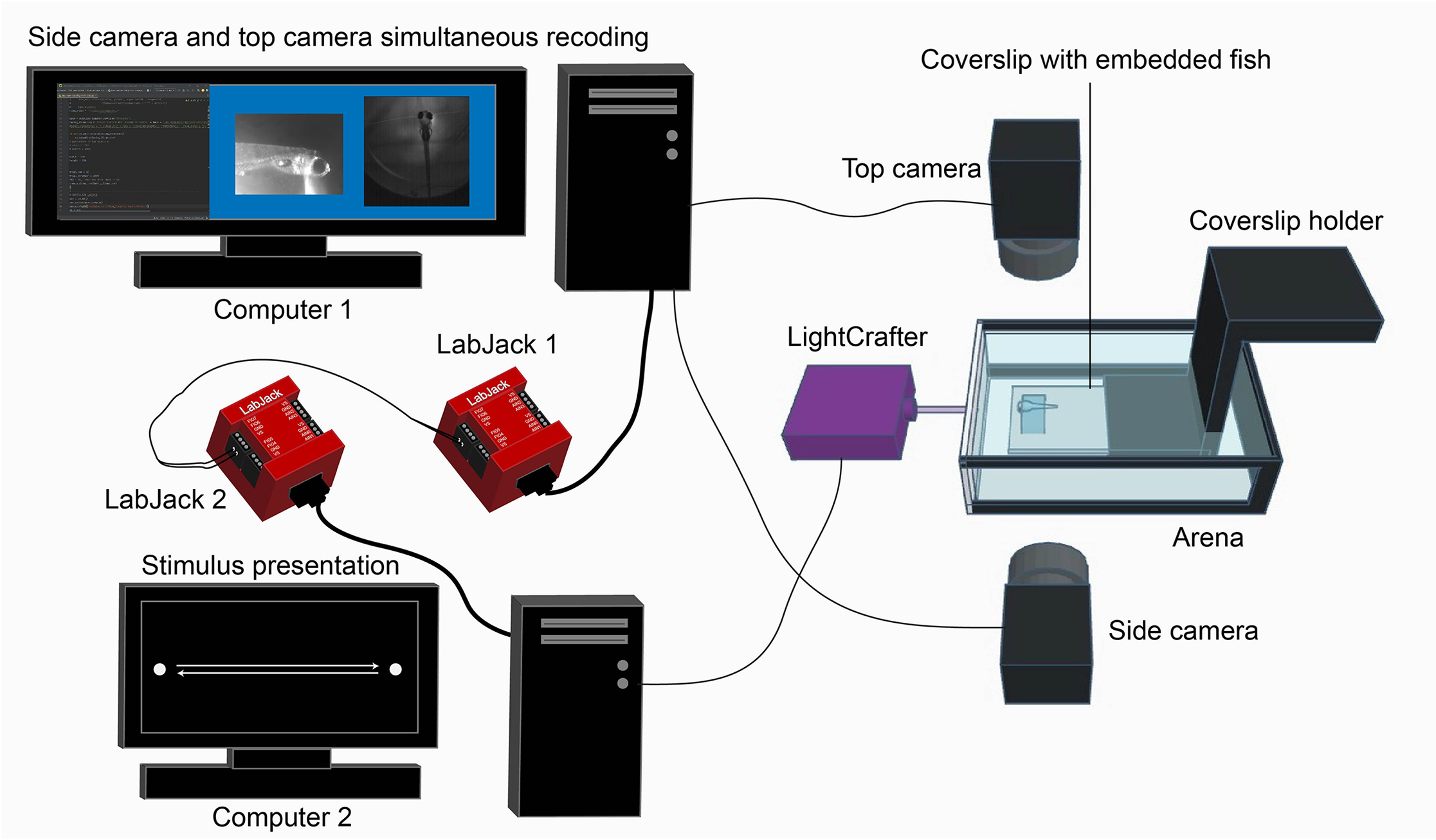 Cell Press: STAR Protocols