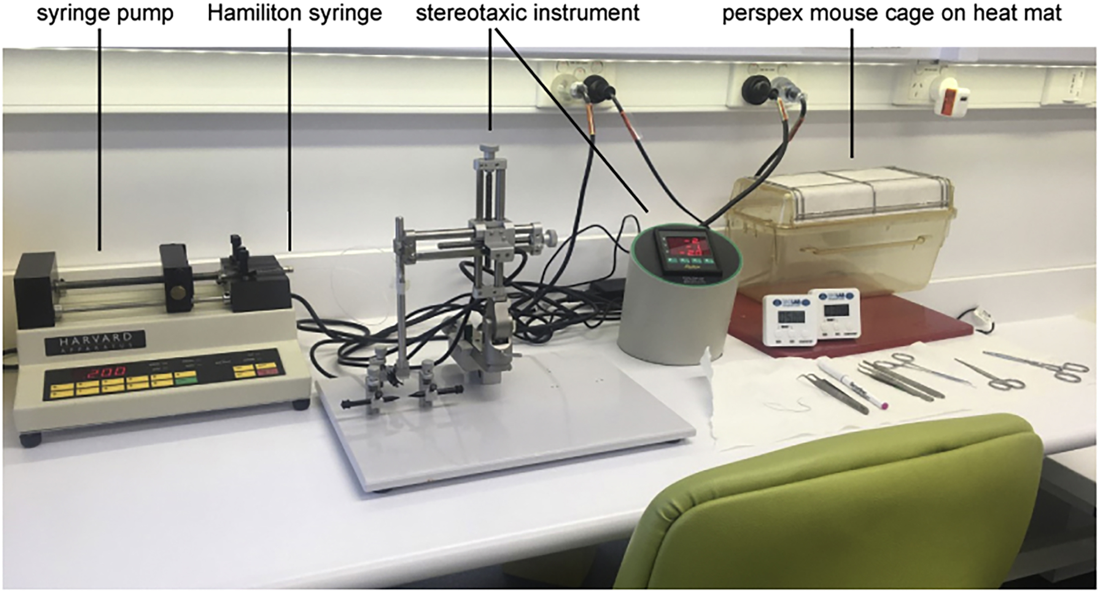 Cell Press: STAR Protocols