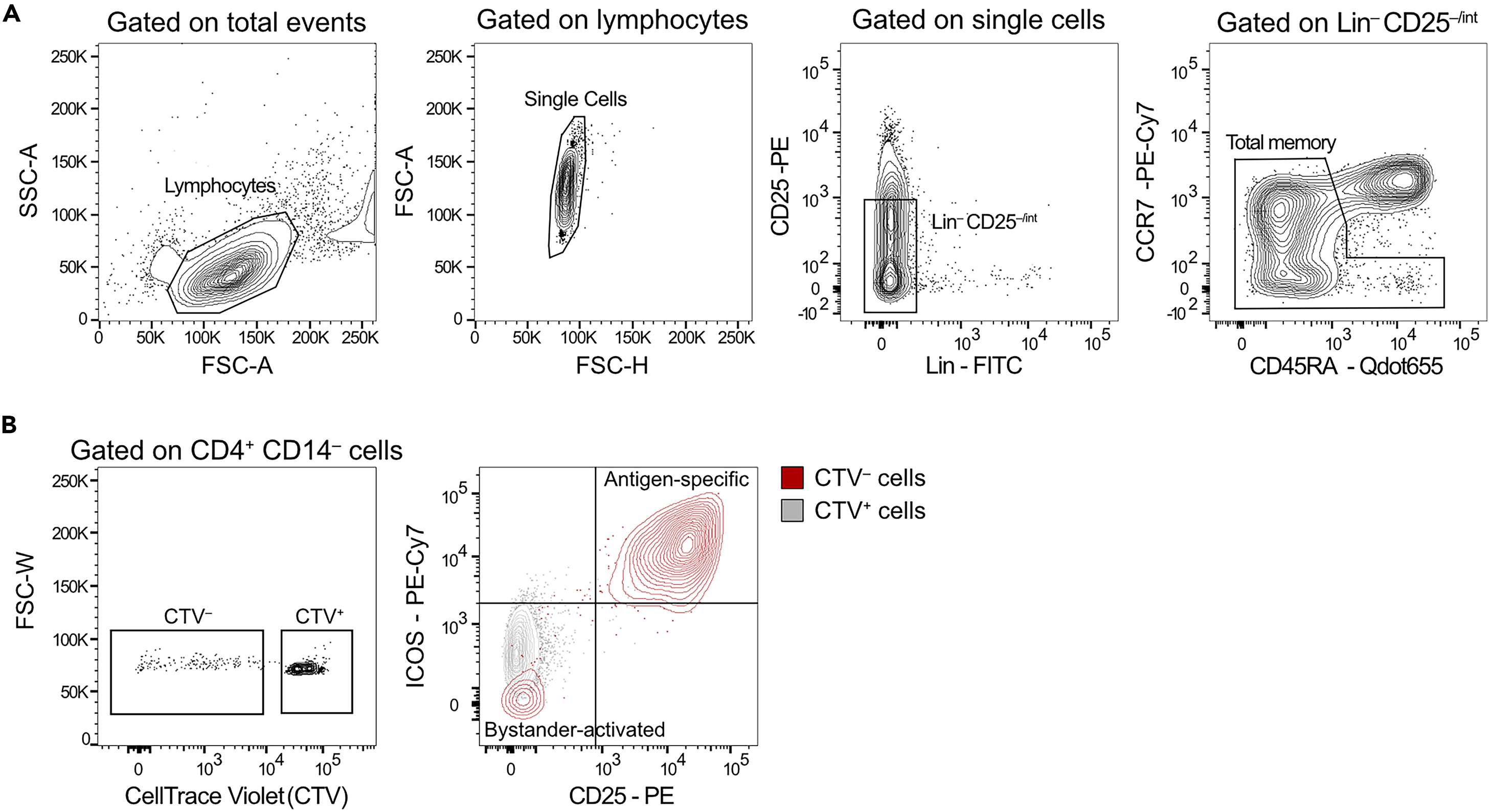 Cell Press: STAR Protocols