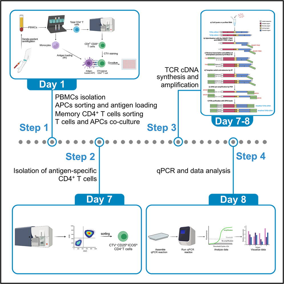 Cell Press: STAR Protocols