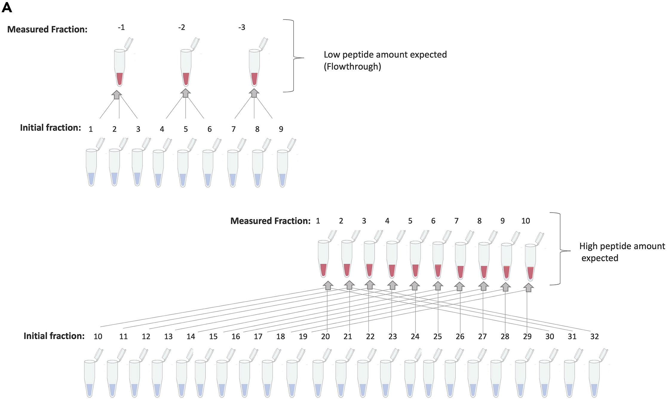 Cell Press: STAR Protocols