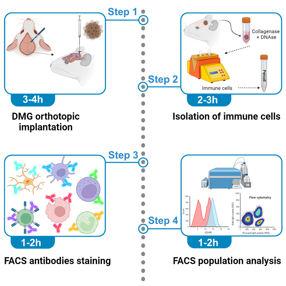 Cell Press: STAR Protocols