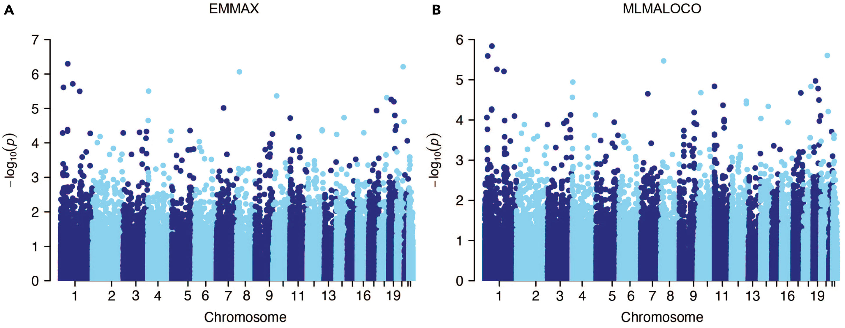 Cell Press: STAR Protocols