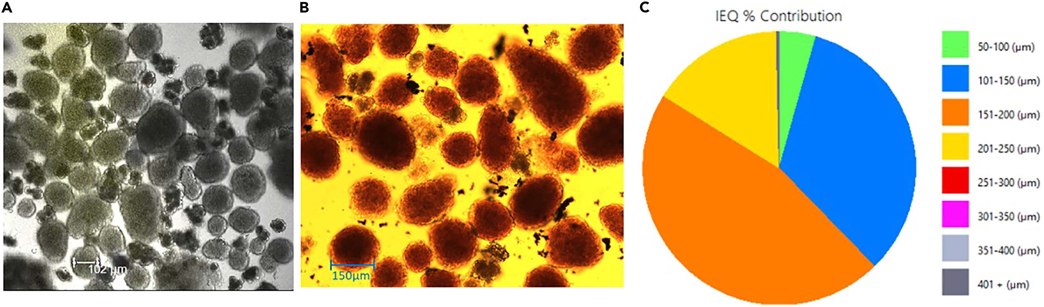 Cell Press: STAR Protocols