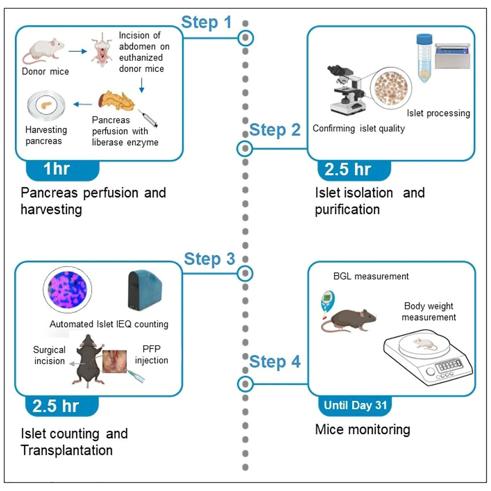 Cell Press: STAR Protocols