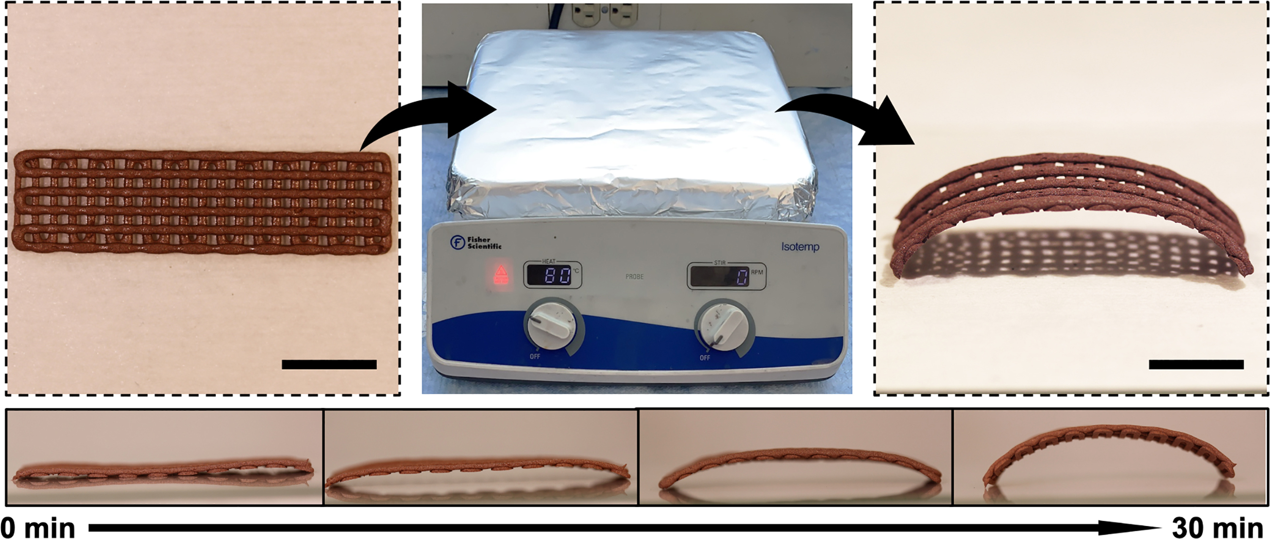 Cell Press: STAR Protocols
