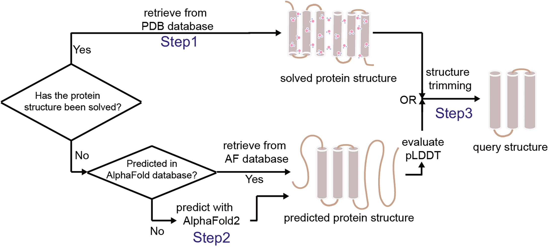 Cell Press: STAR Protocols