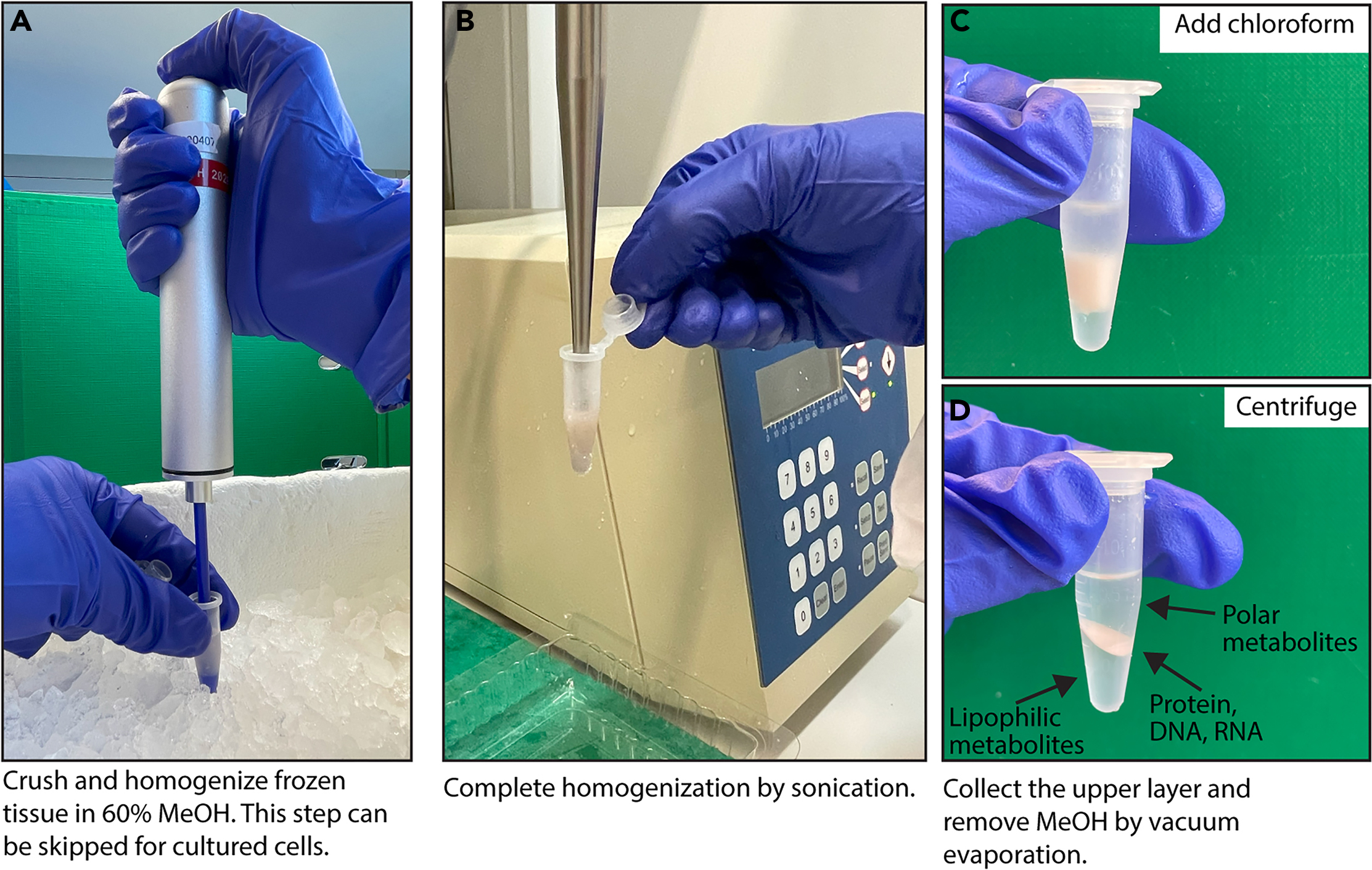 Cell Press: STAR Protocols