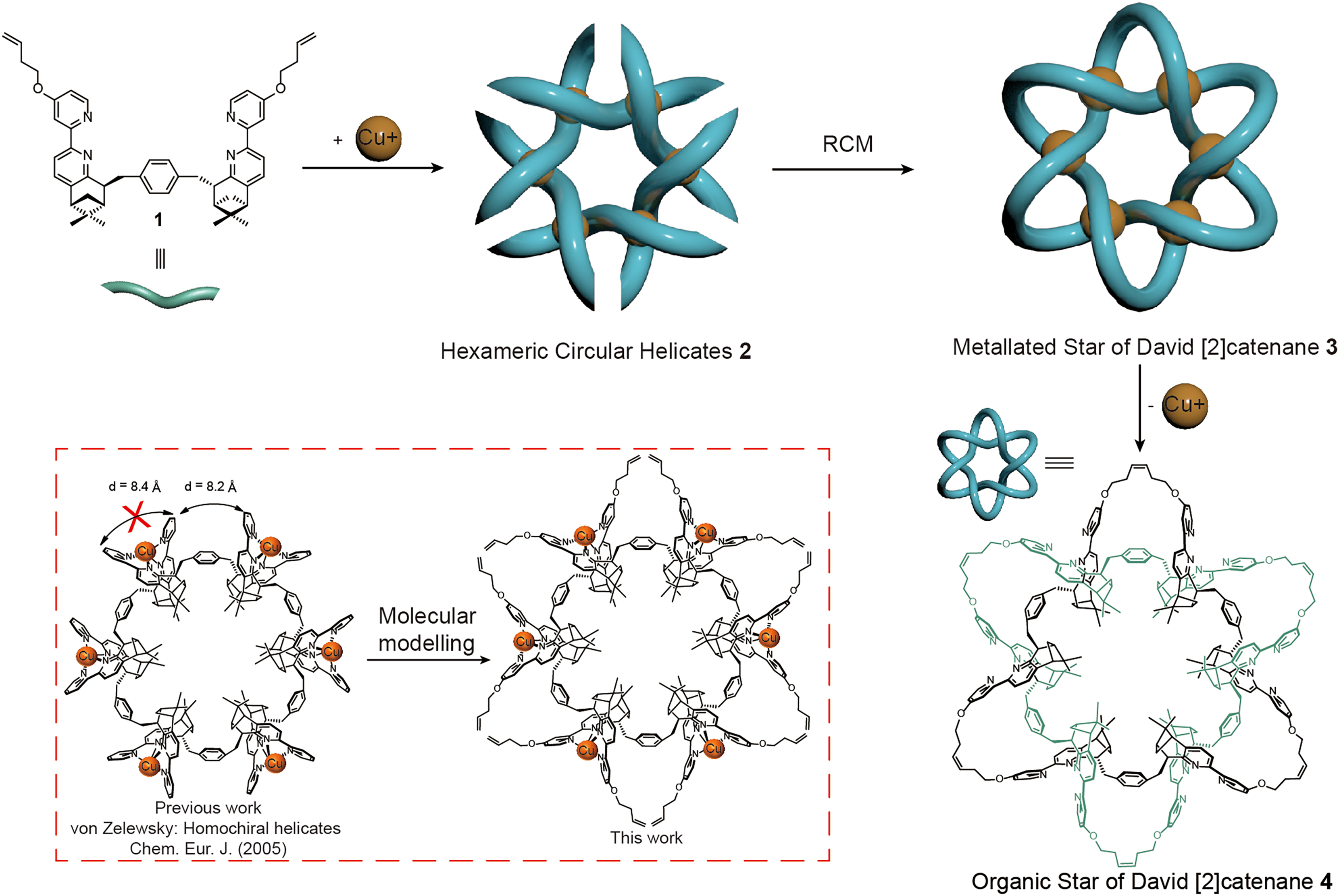 Cell Press: STAR Protocols