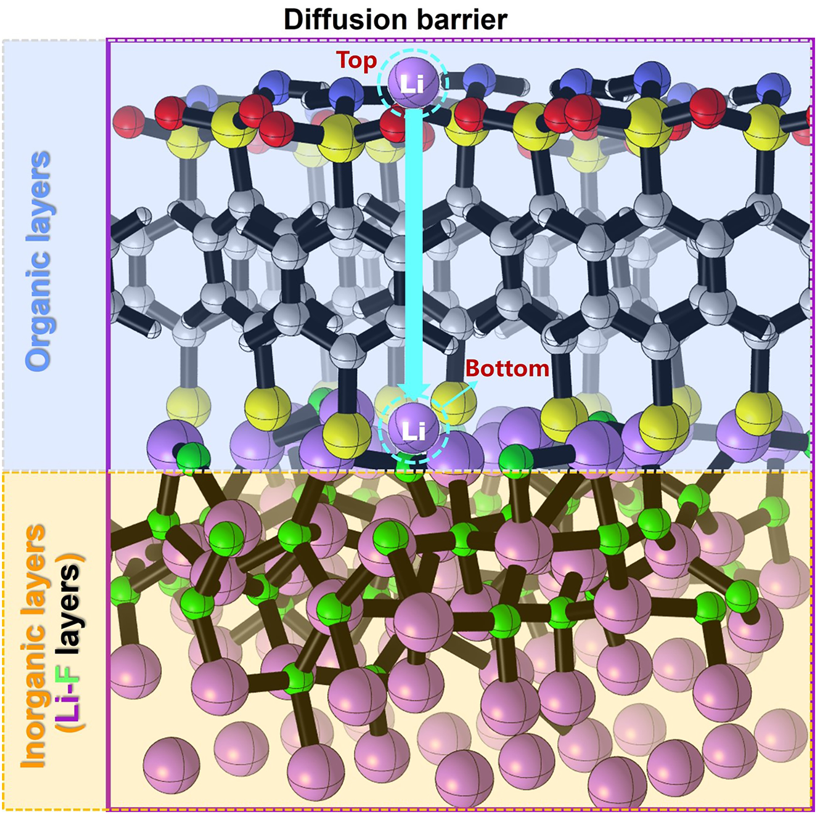 Cell Press: STAR Protocols