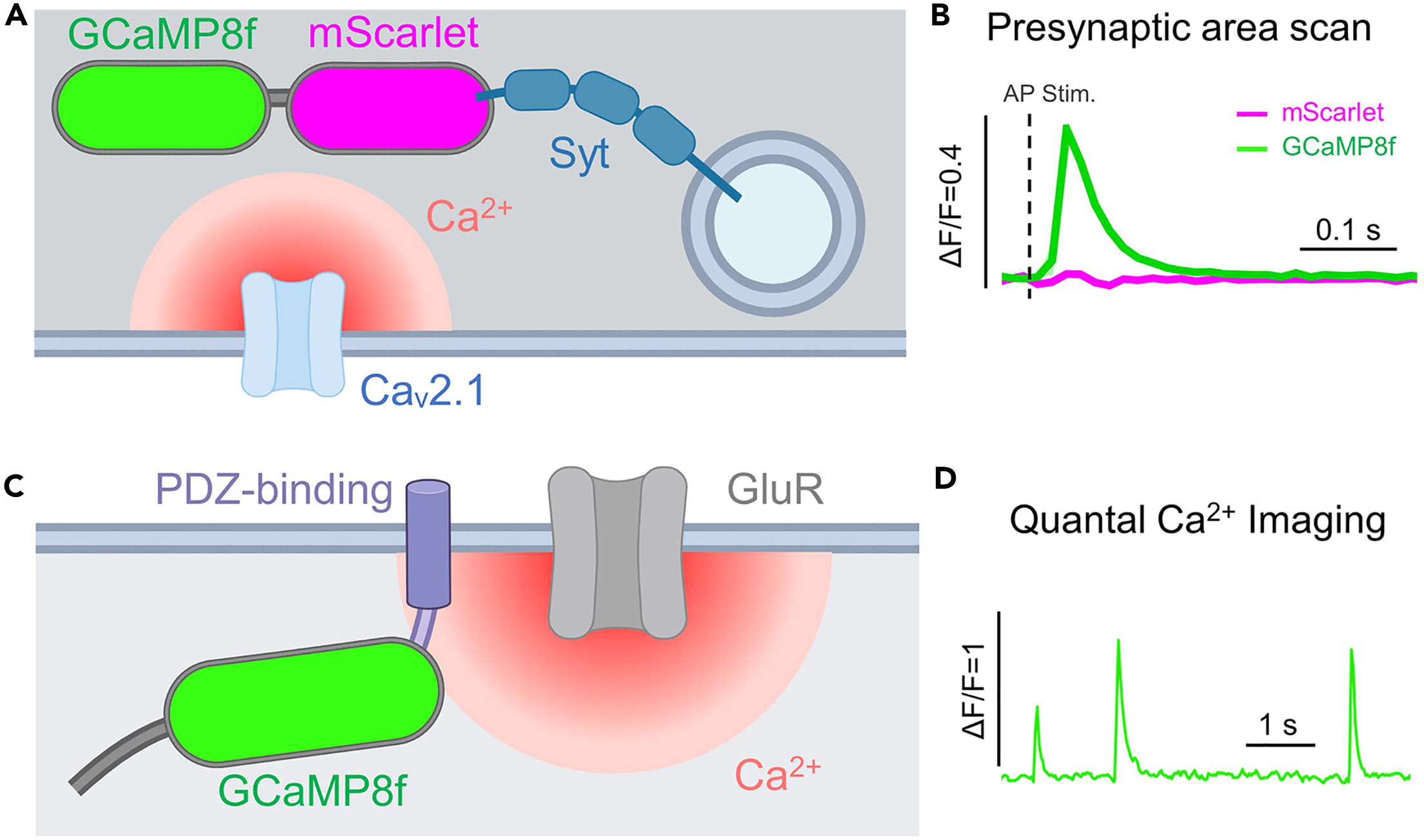 Cell Press: STAR Protocols