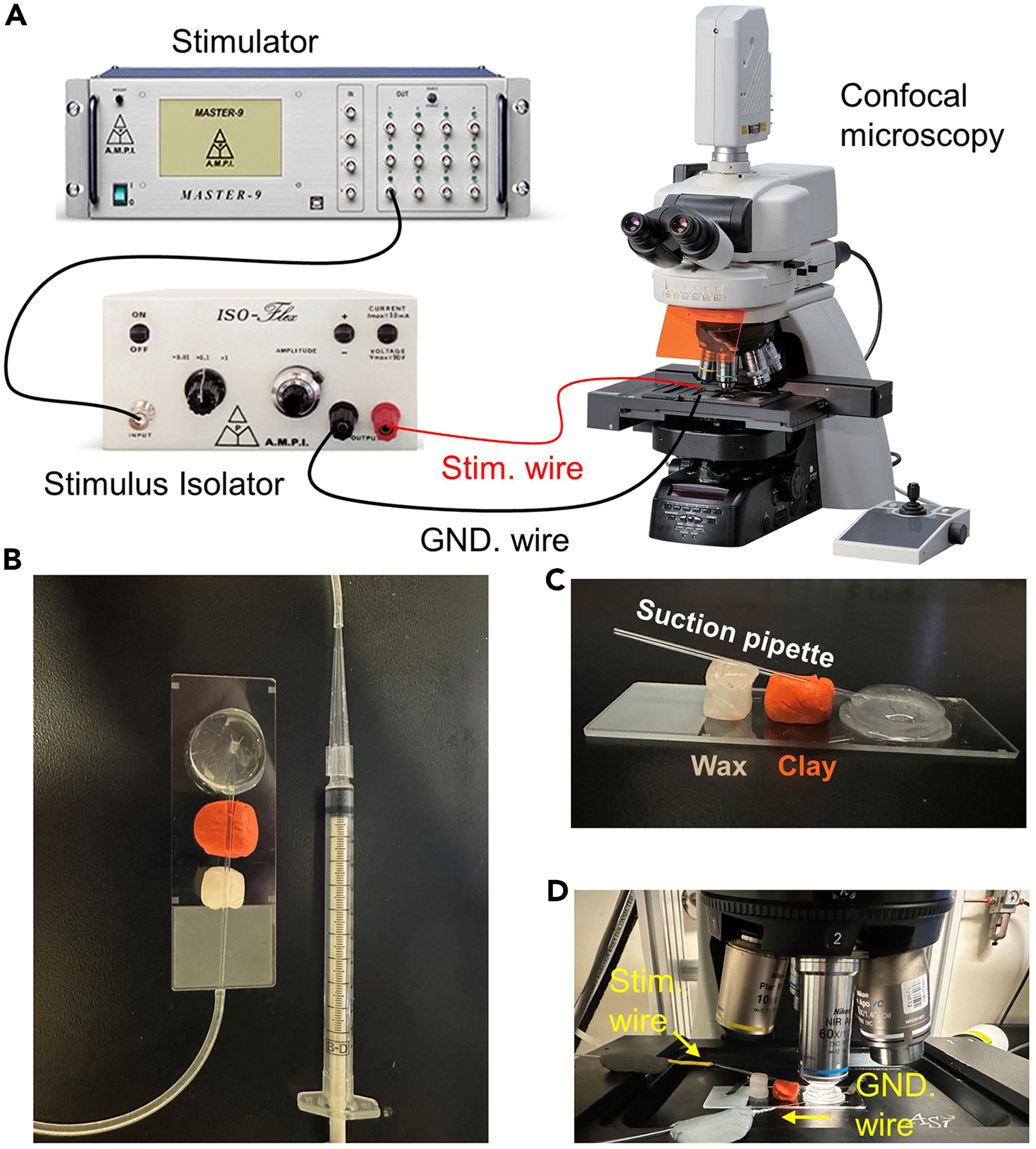 Cell Press: STAR Protocols