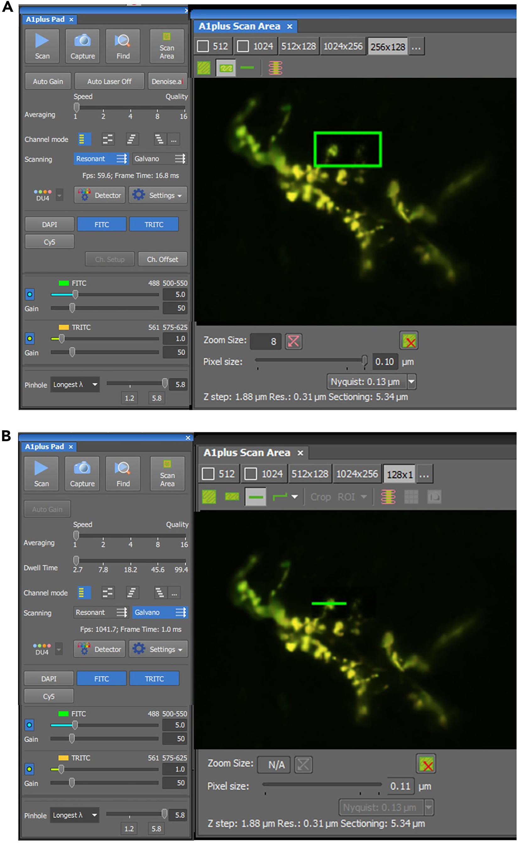 Cell Press: STAR Protocols