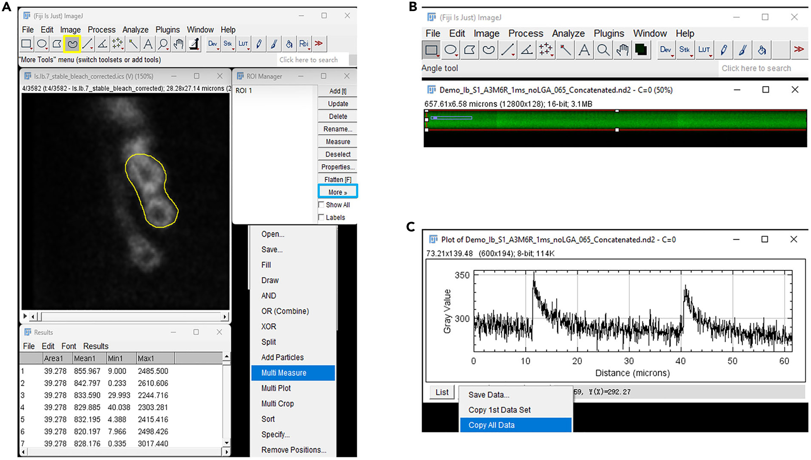 Cell Press: STAR Protocols