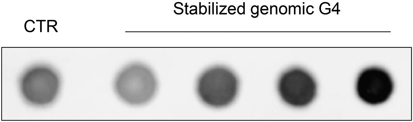 Cell Press: STAR Protocols