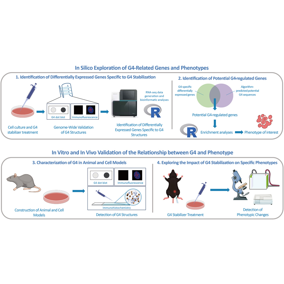 Cell Press: STAR Protocols