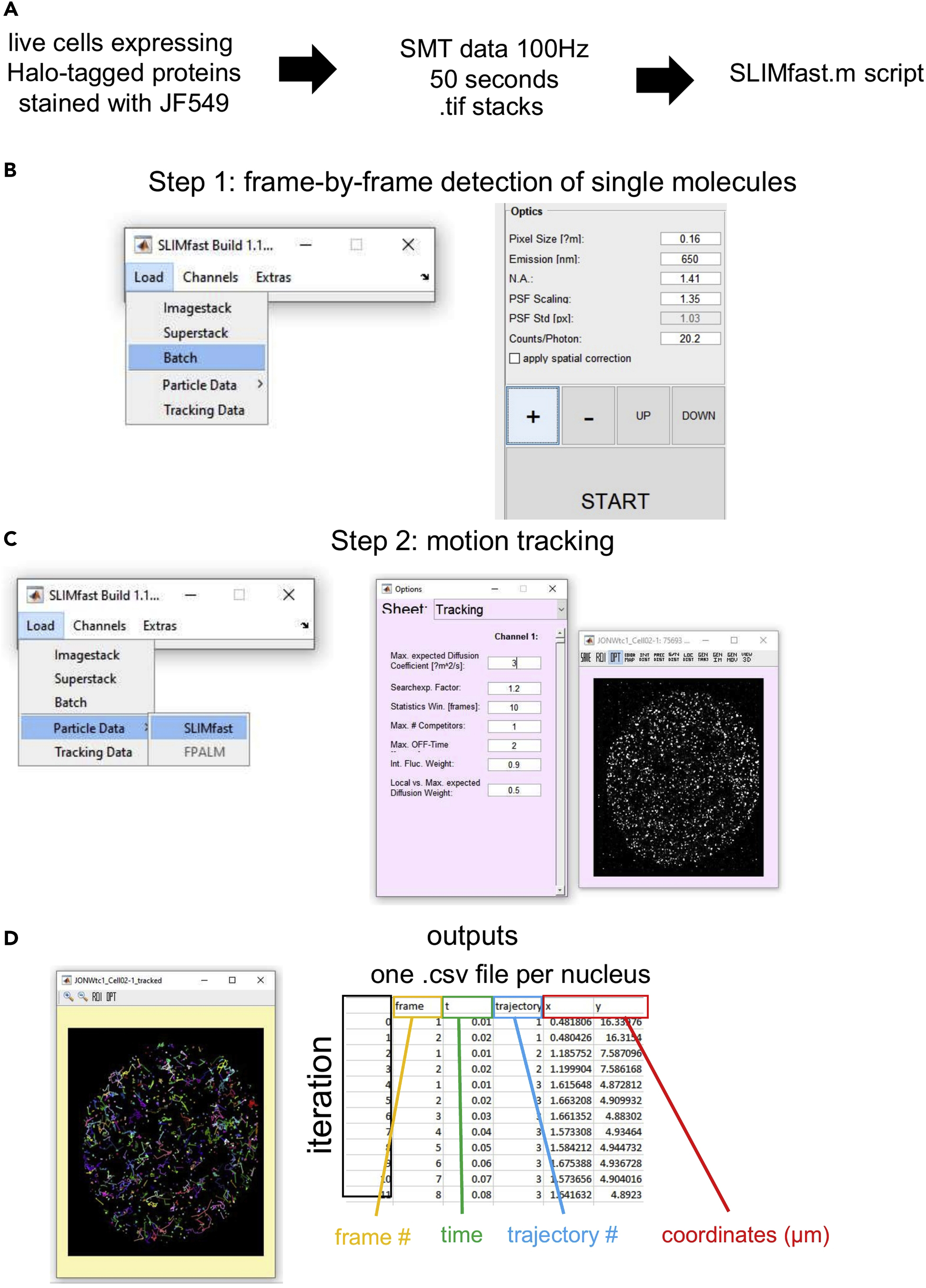 Cell Press: STAR Protocols