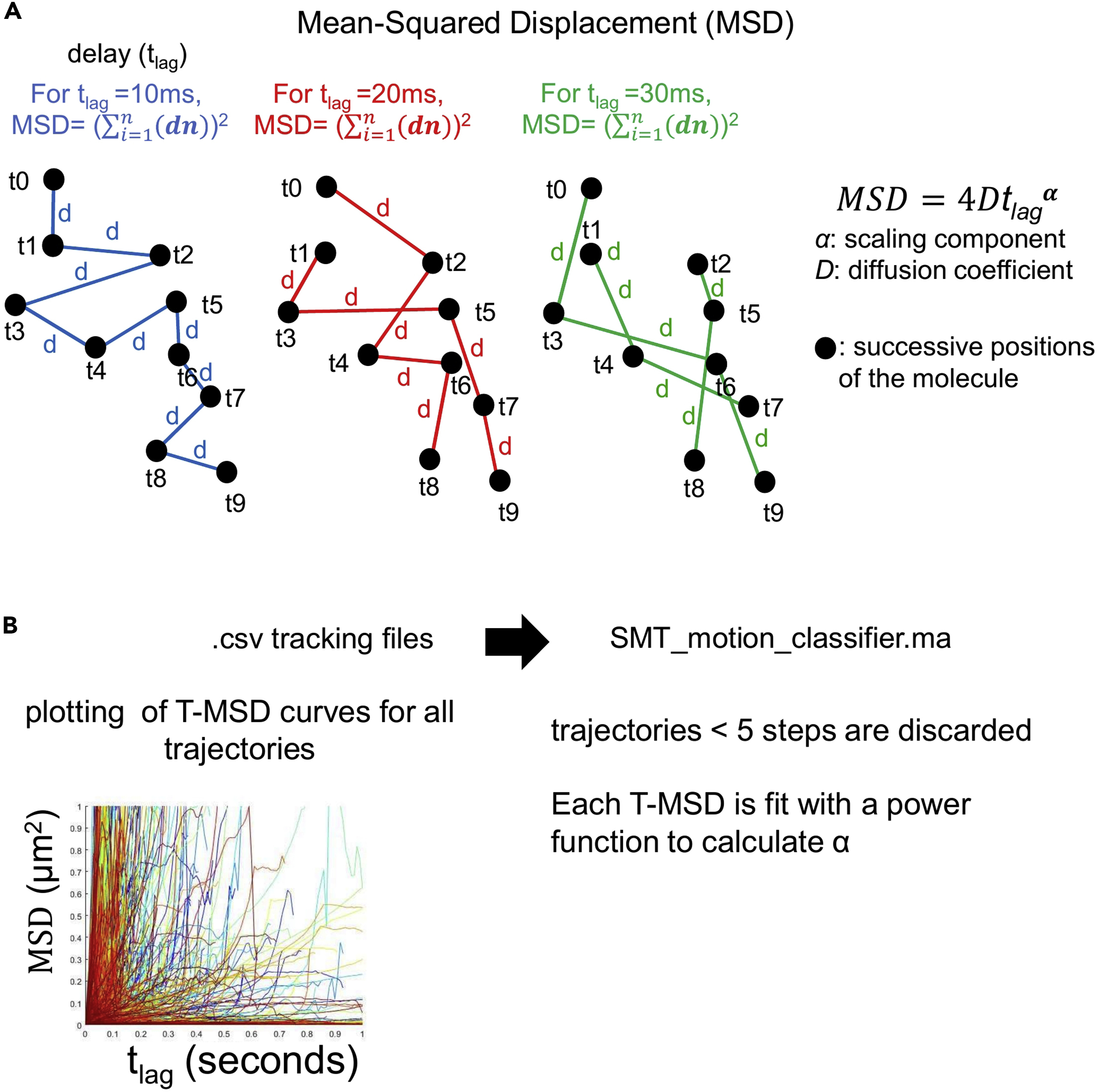 Cell Press: STAR Protocols