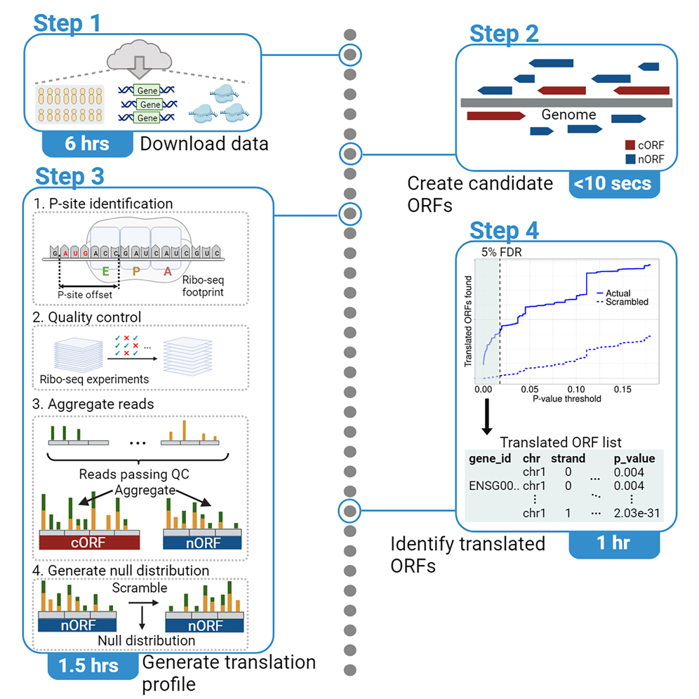 Cell Press: STAR Protocols