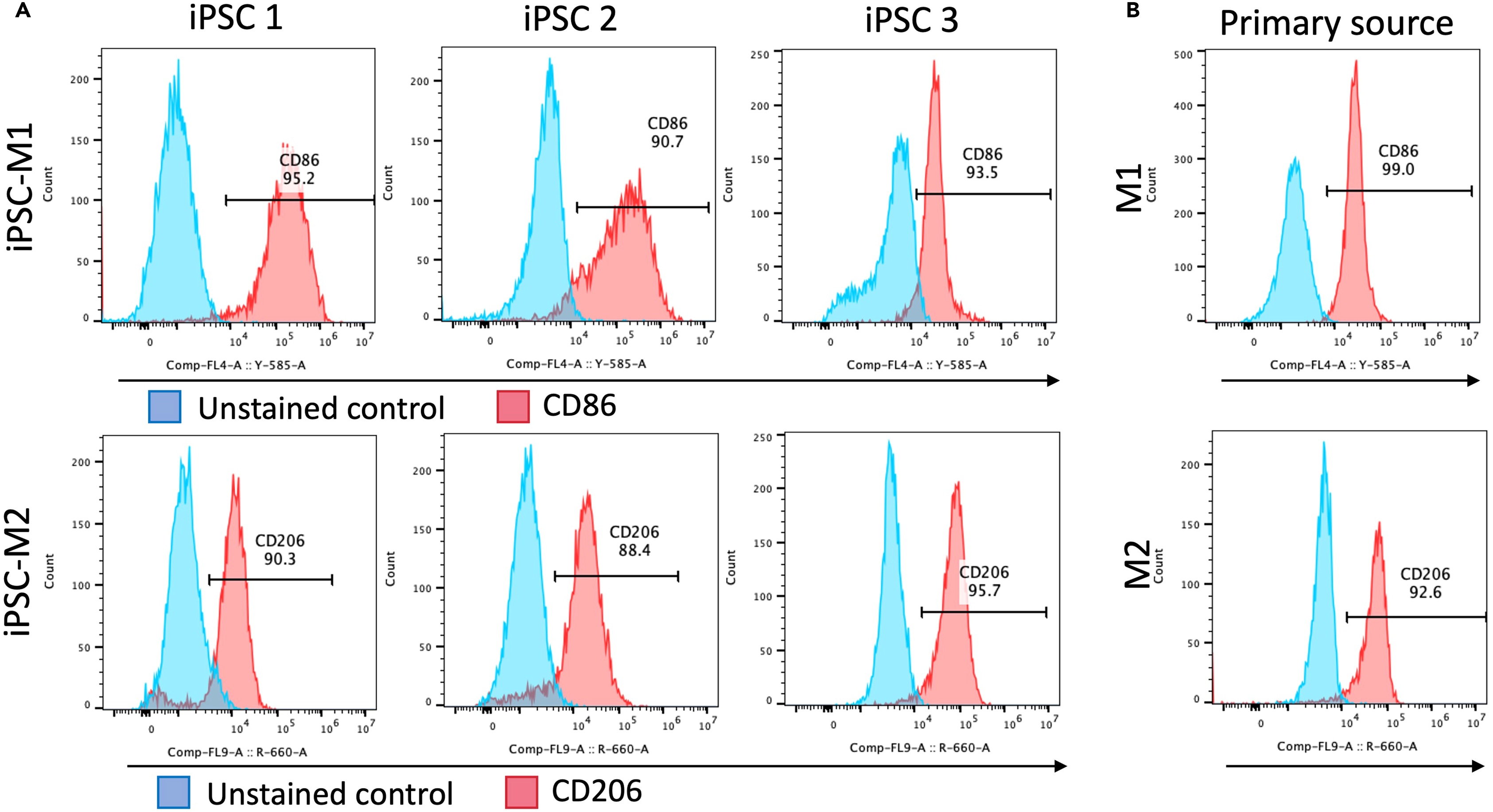 Cell Press: STAR Protocols