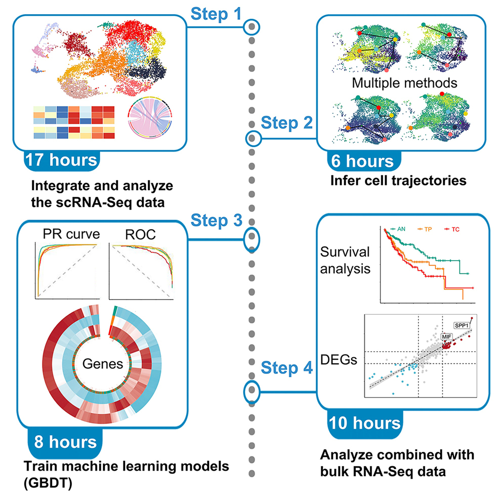 Cell Press: STAR Protocols