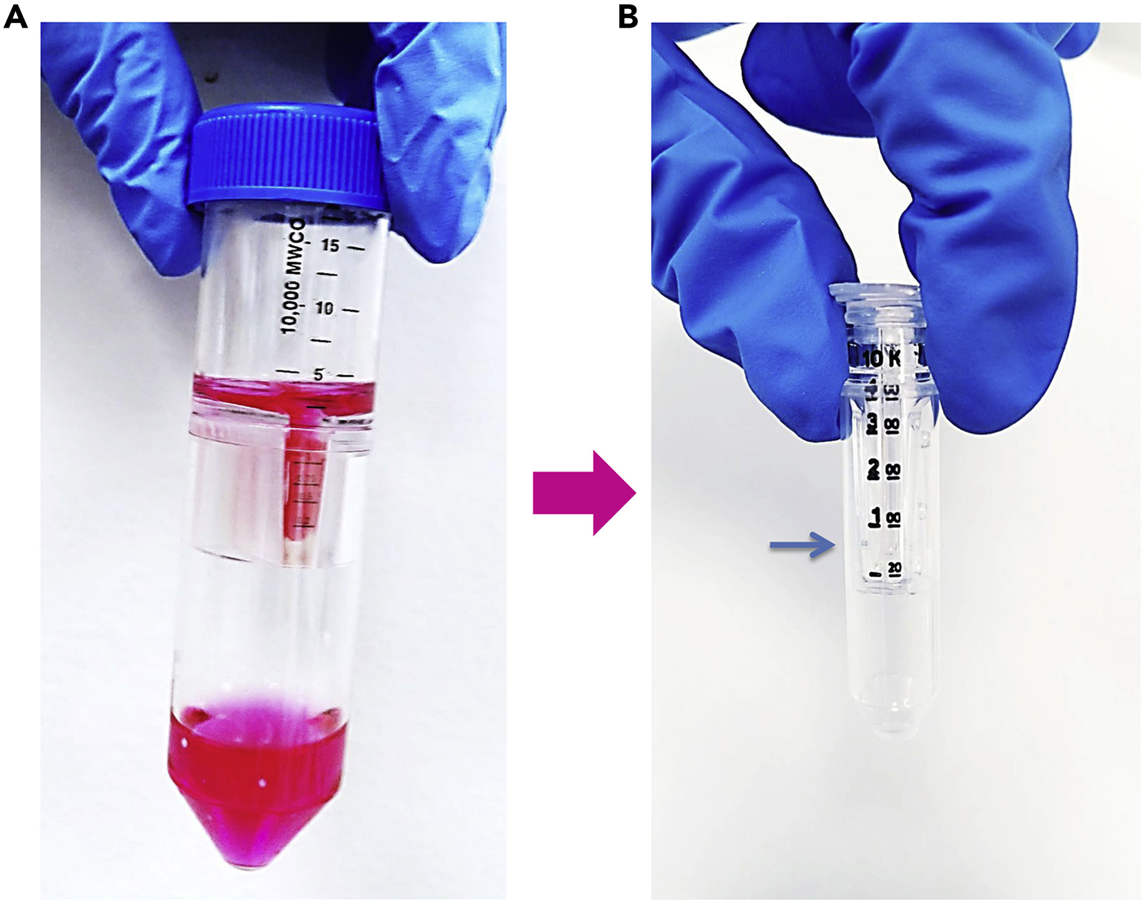Cell Press: STAR Protocols