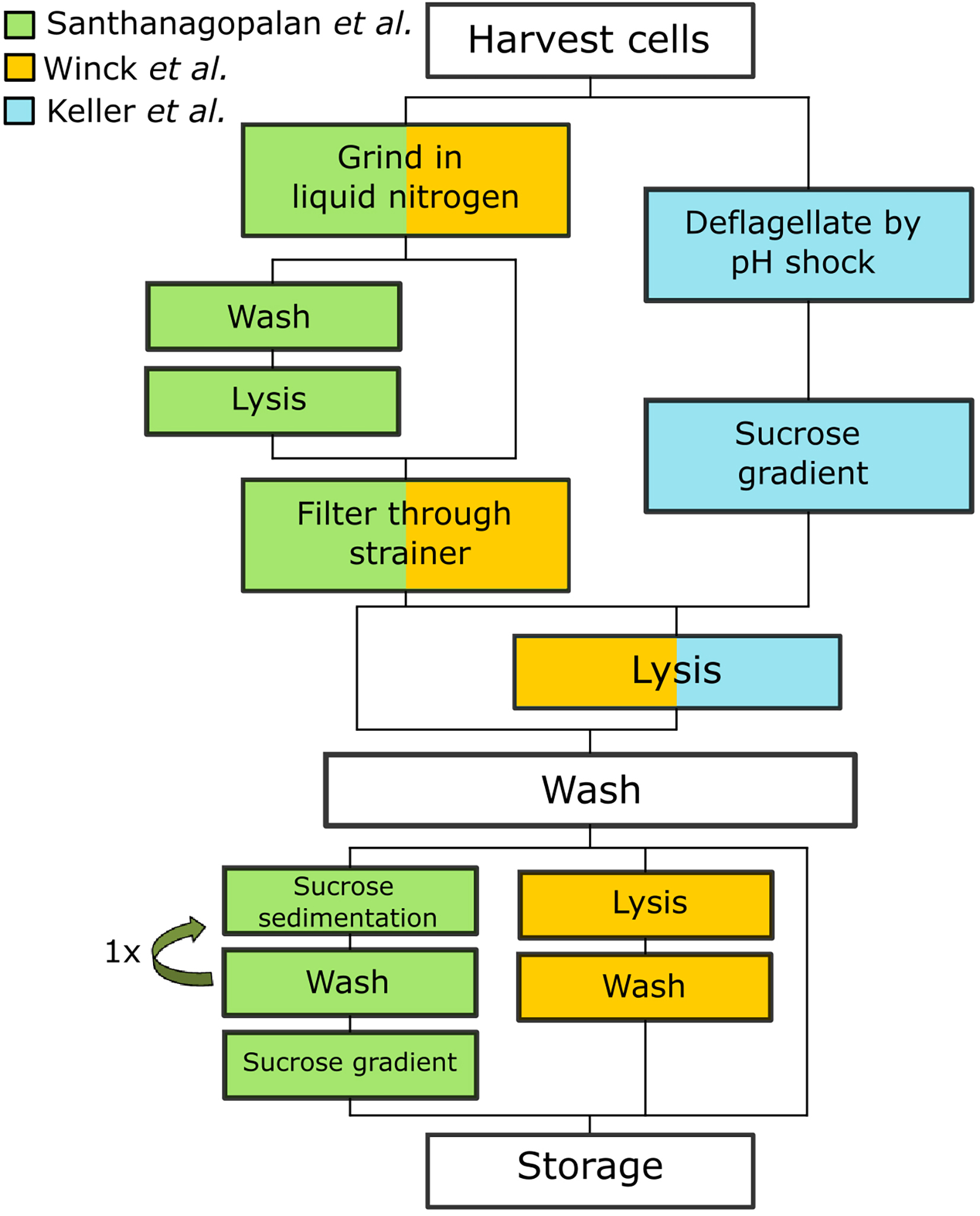 Cell Press: STAR Protocols