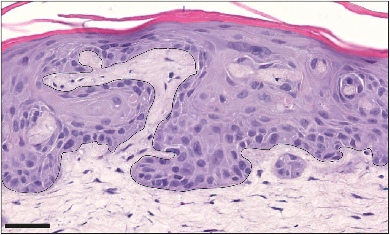 Cell Press: STAR Protocols