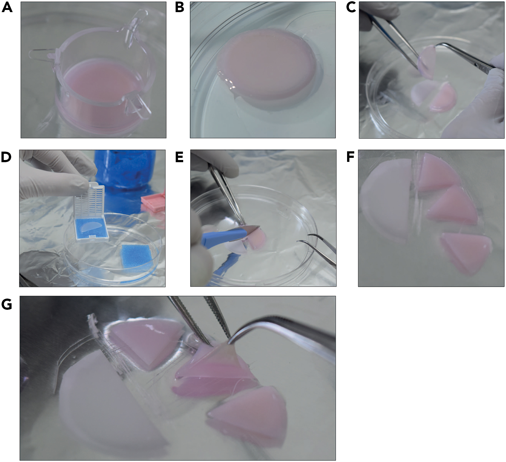 Cell Press: STAR Protocols
