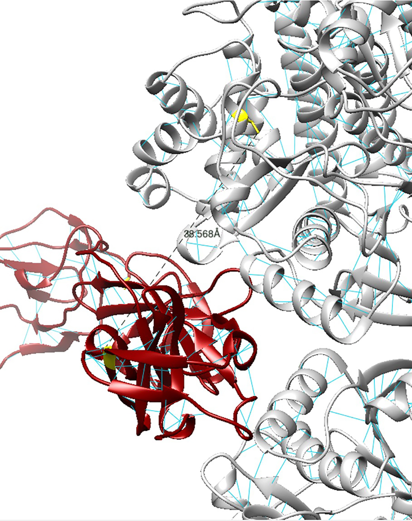 Cell Press: STAR Protocols