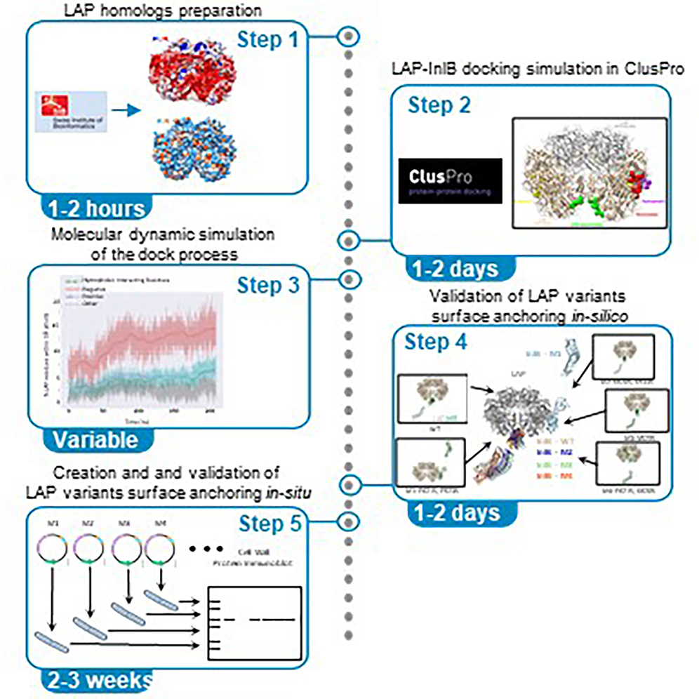 Cell Press: STAR Protocols