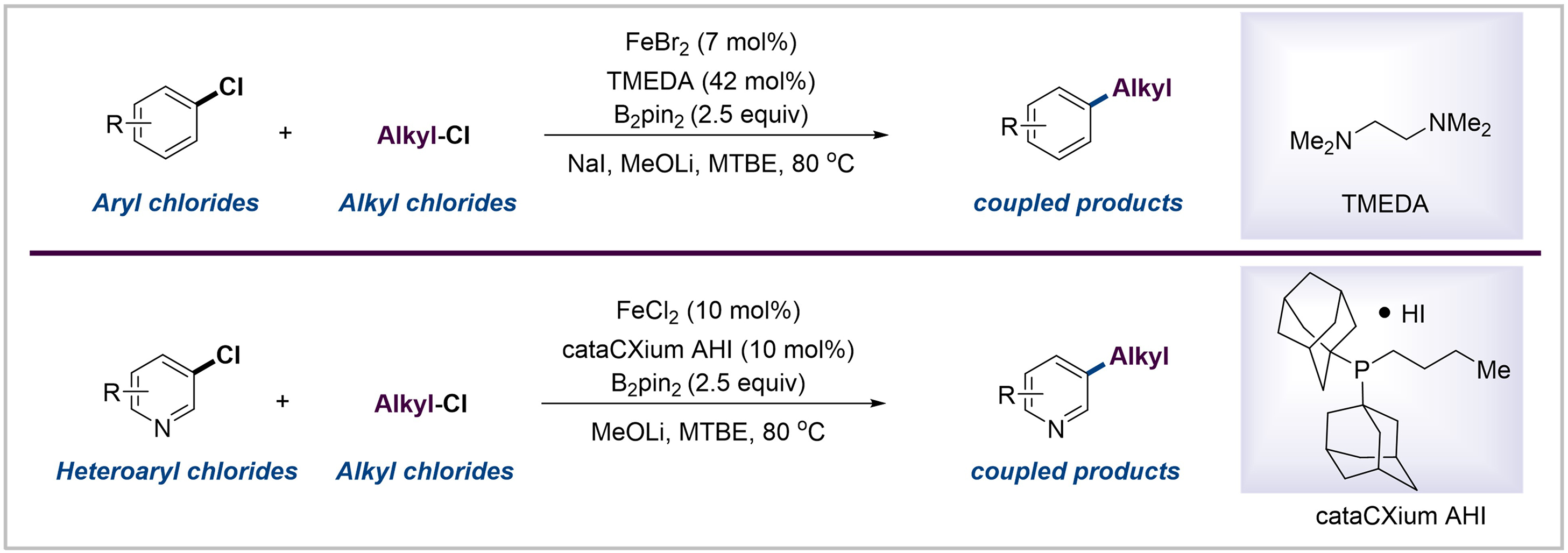 Cell Press: STAR Protocols