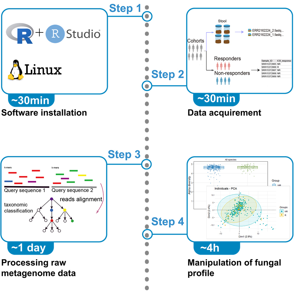 Cell Press: STAR Protocols