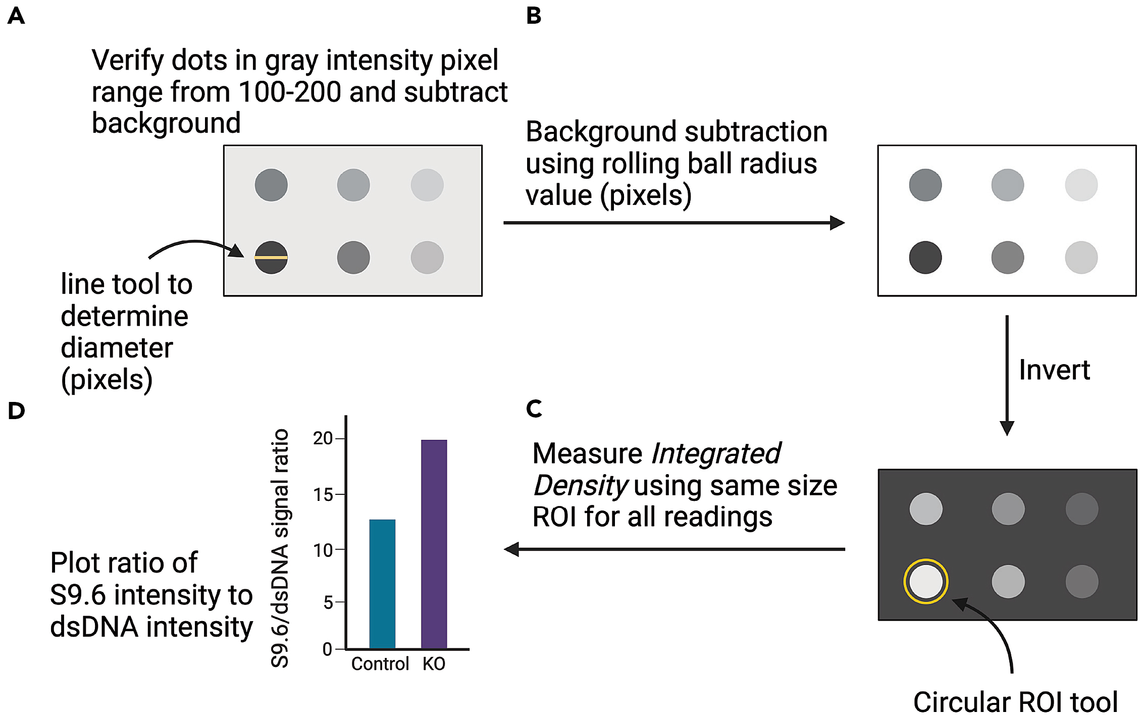Cell Press: STAR Protocols