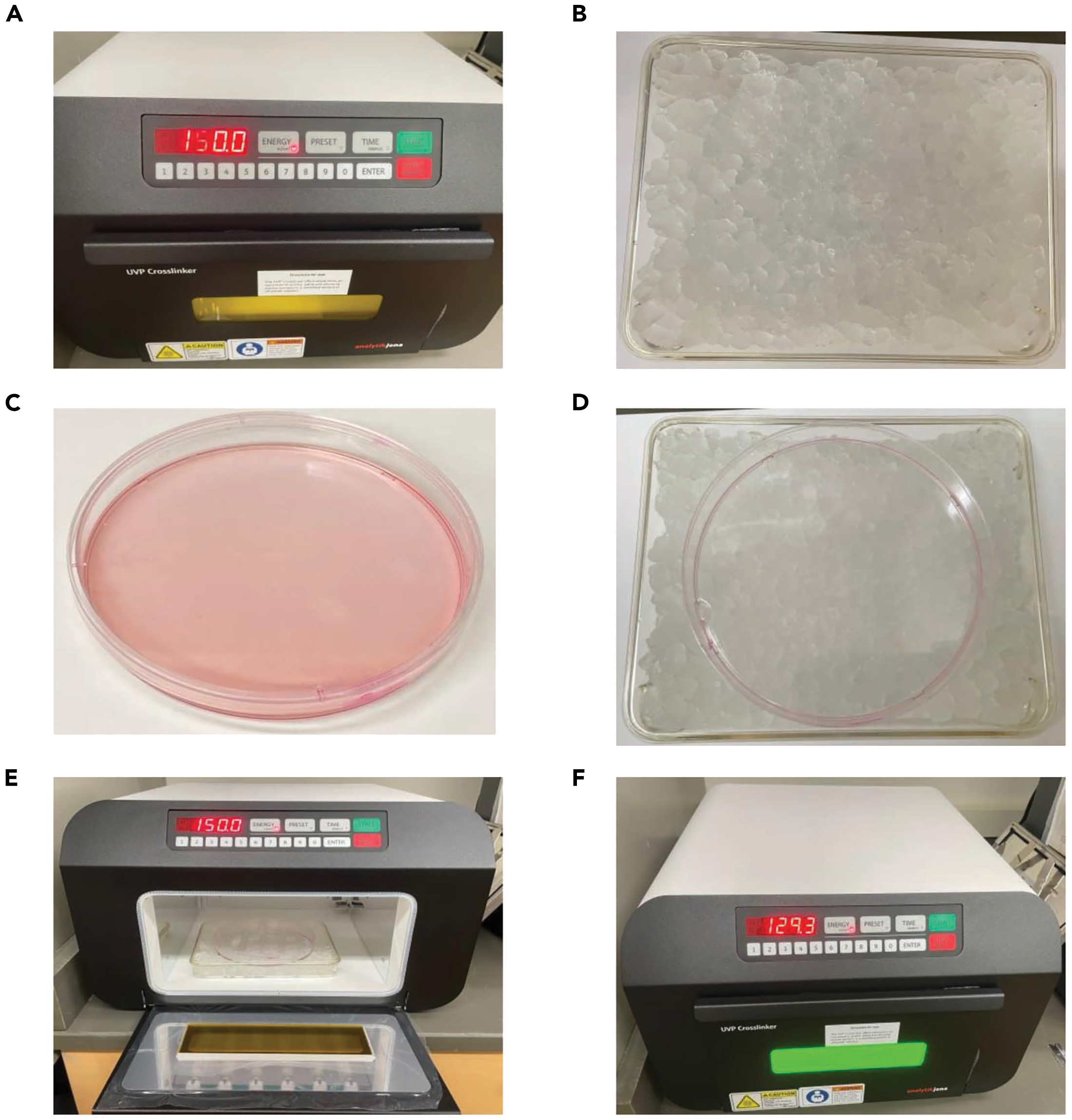 Cell Press: STAR Protocols
