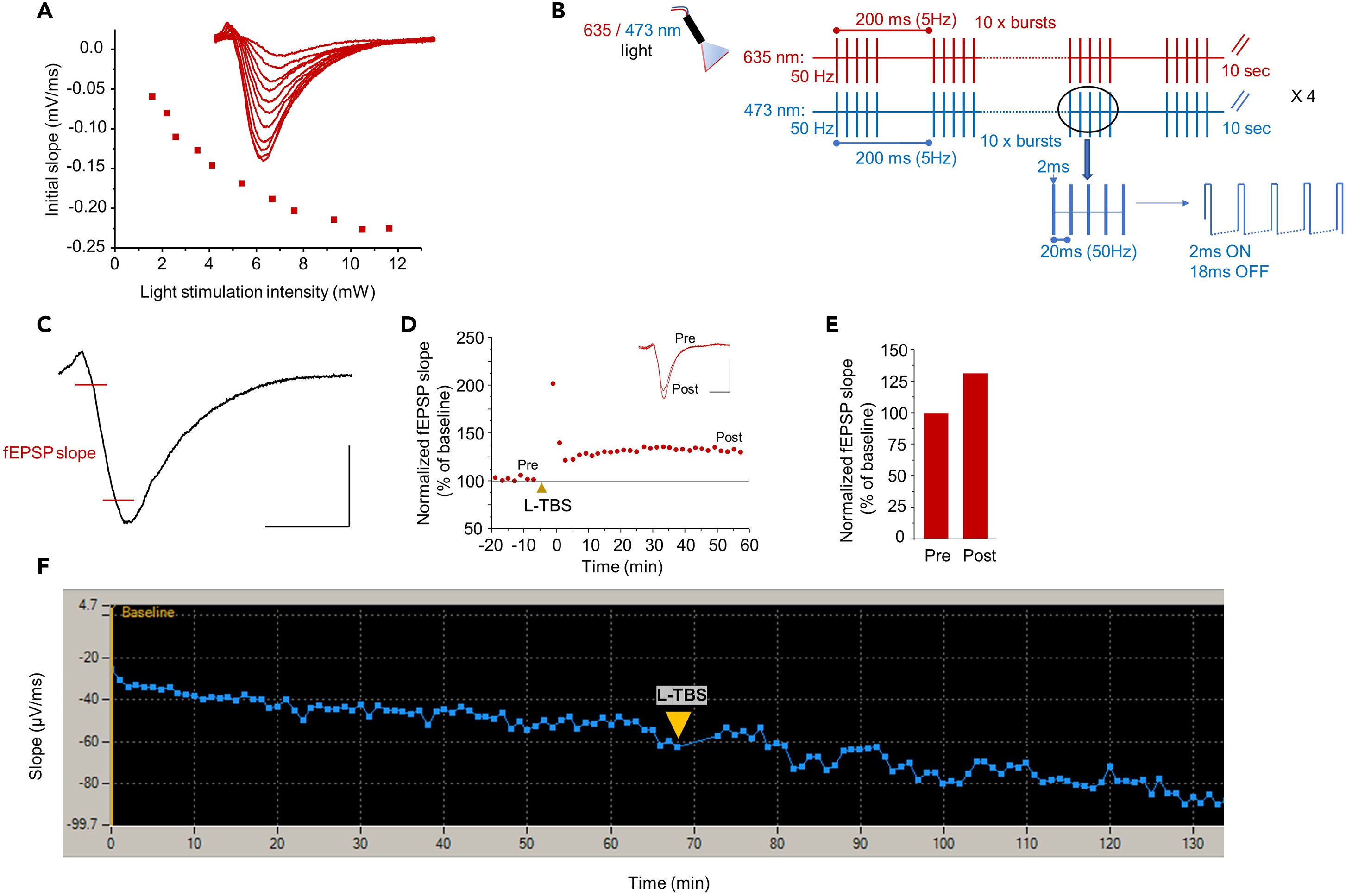 Cell Press: STAR Protocols