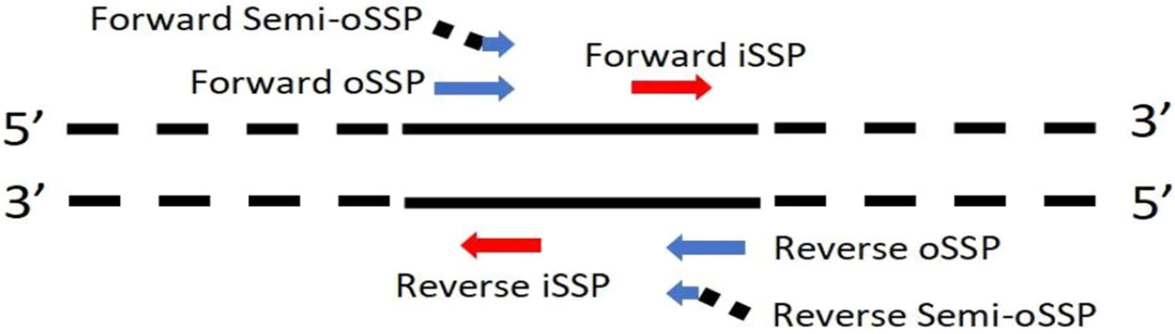 Cell Press: STAR Protocols