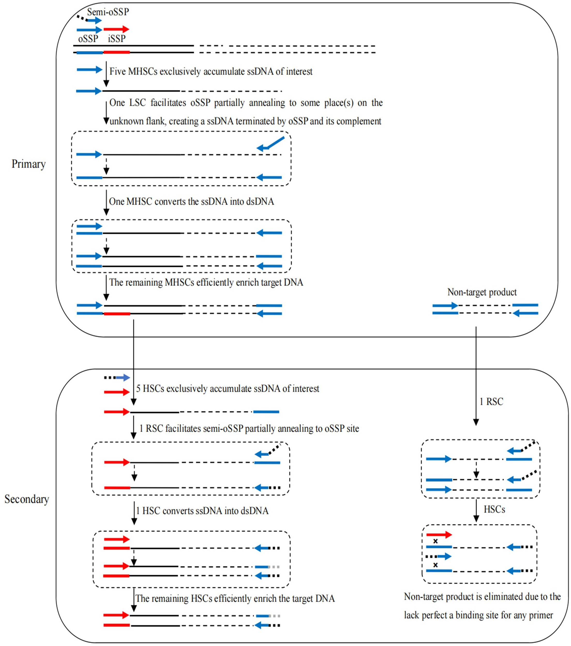 Cell Press: STAR Protocols