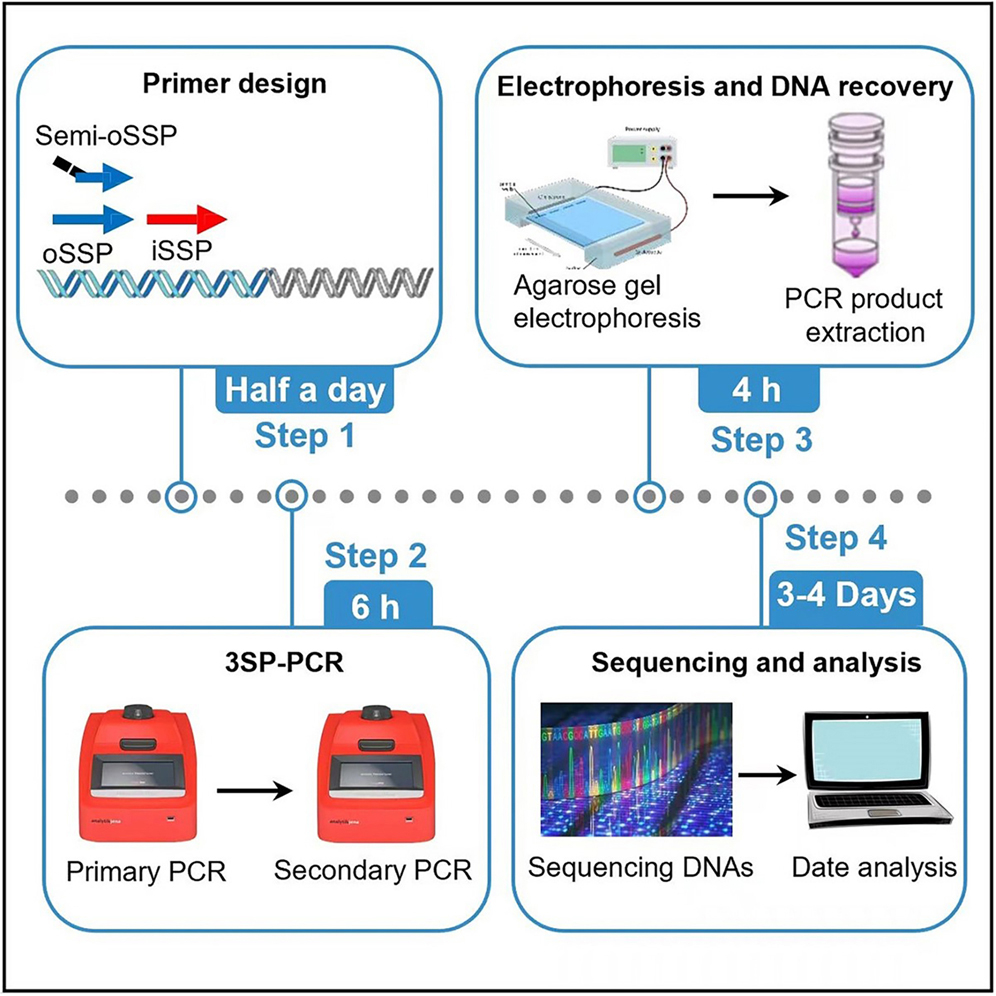 Cell Press: STAR Protocols