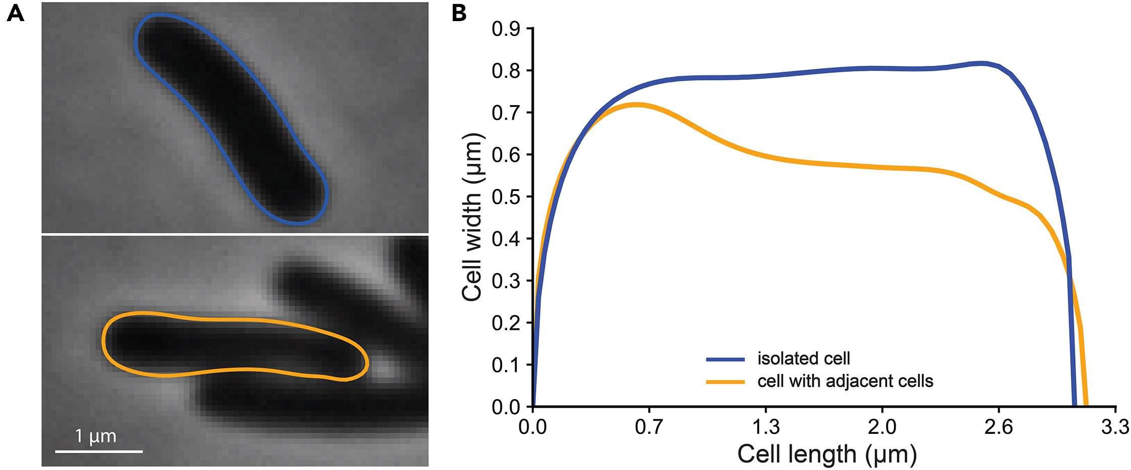 Cell Press: STAR Protocols