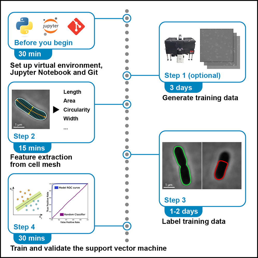 Cell Press: STAR Protocols
