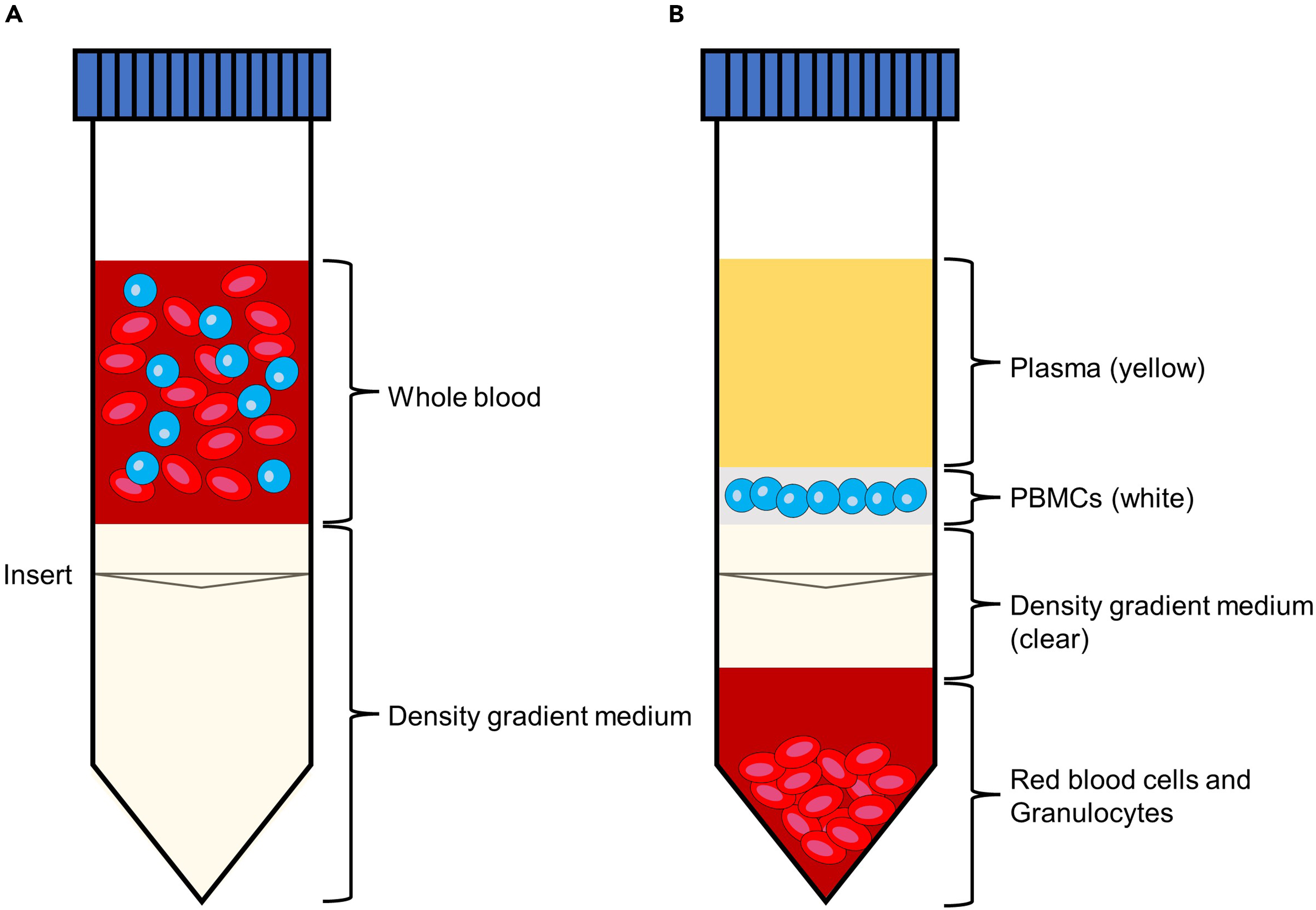 Cell Press: STAR Protocols