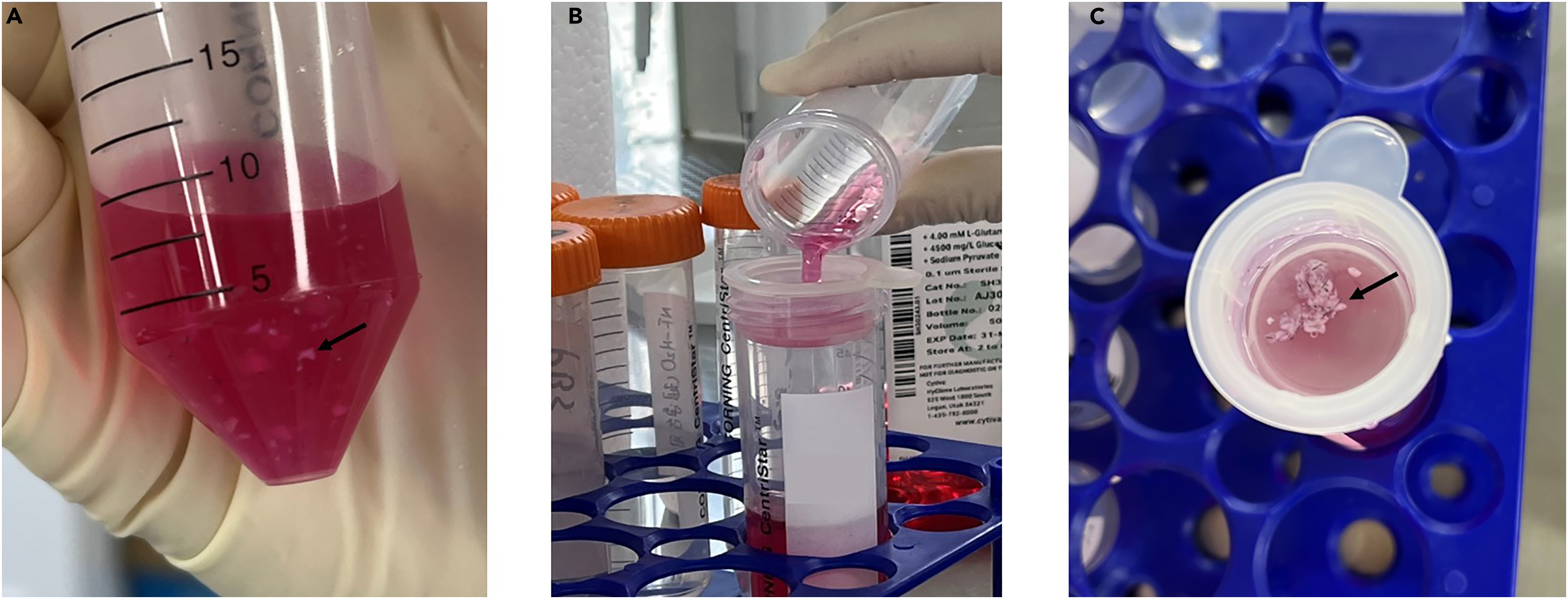 Cell Press: STAR Protocols