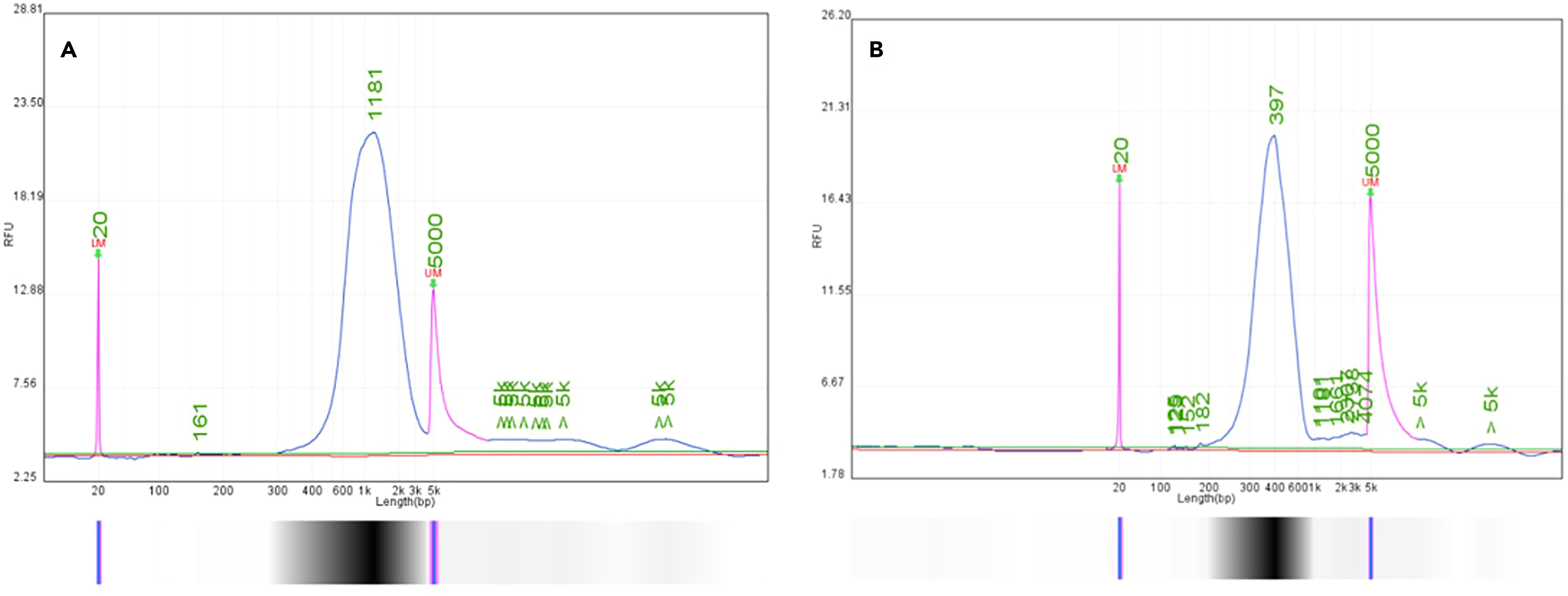 Cell Press: STAR Protocols