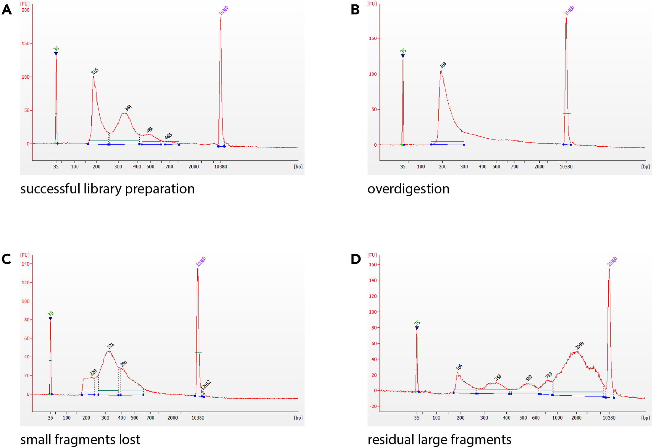 Cell Press: STAR Protocols