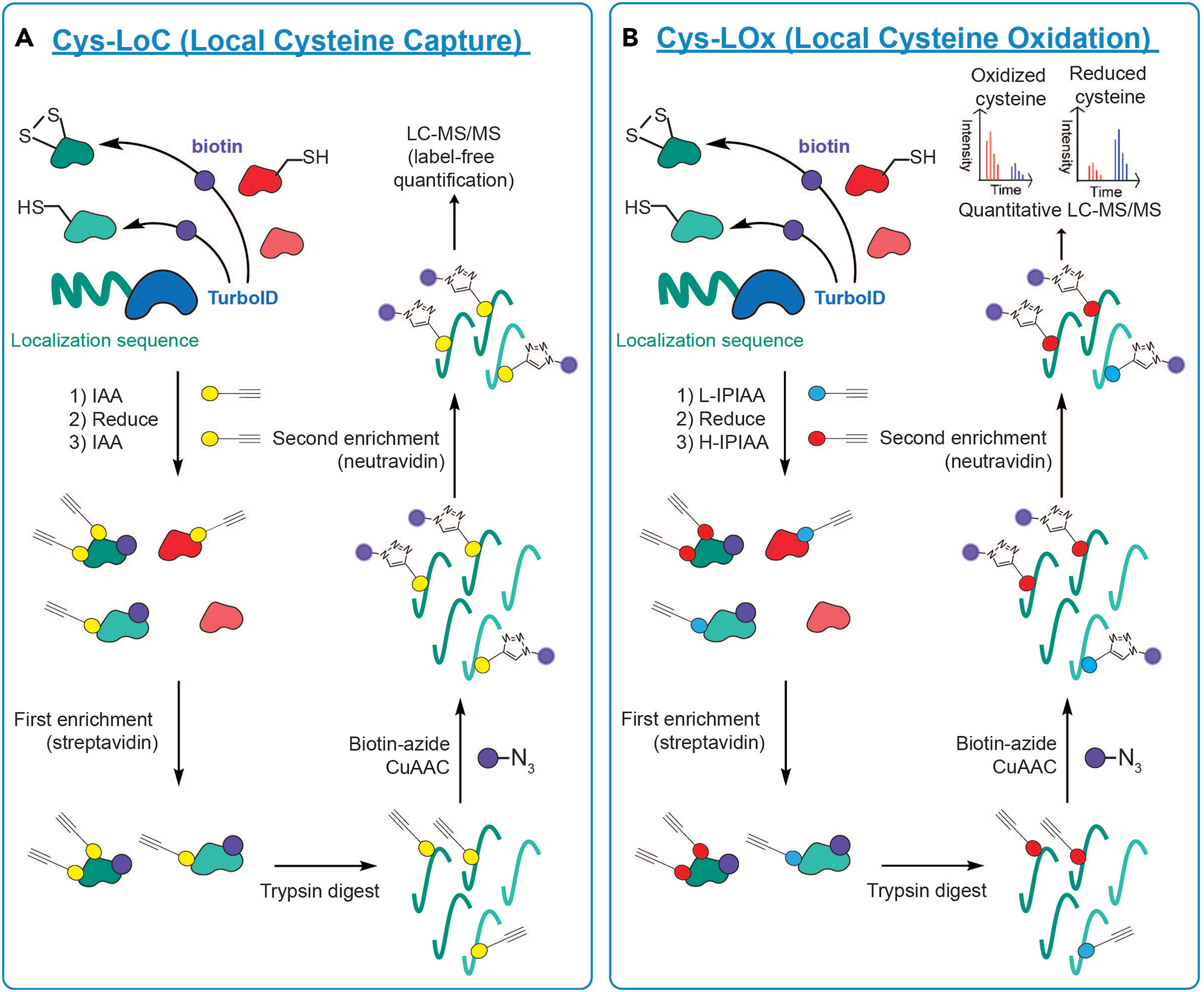 Cell Press: STAR Protocols