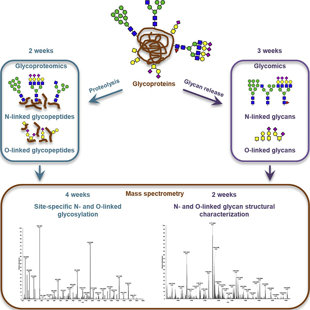 Cell Press: STAR Protocols