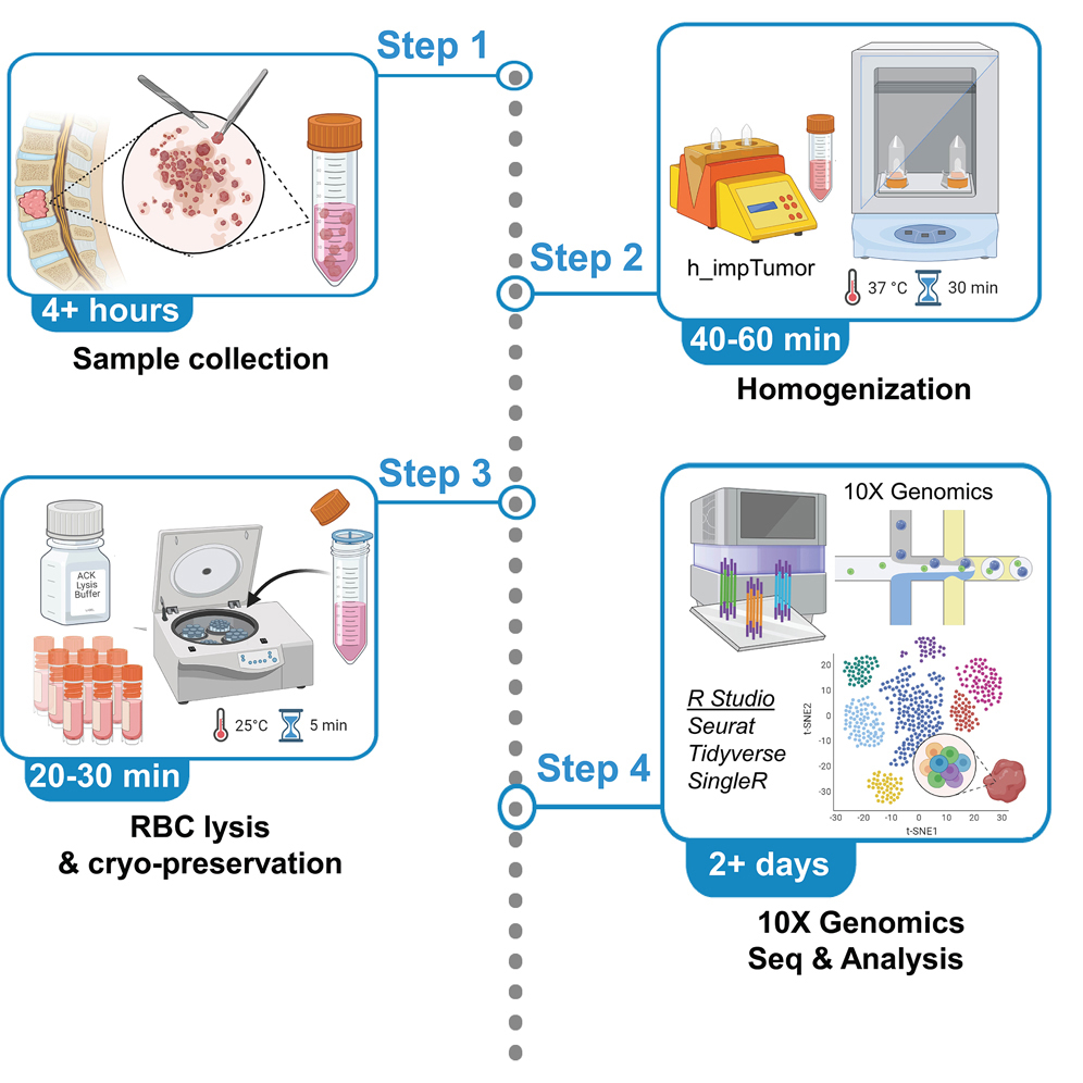 Cell Press: STAR Protocols