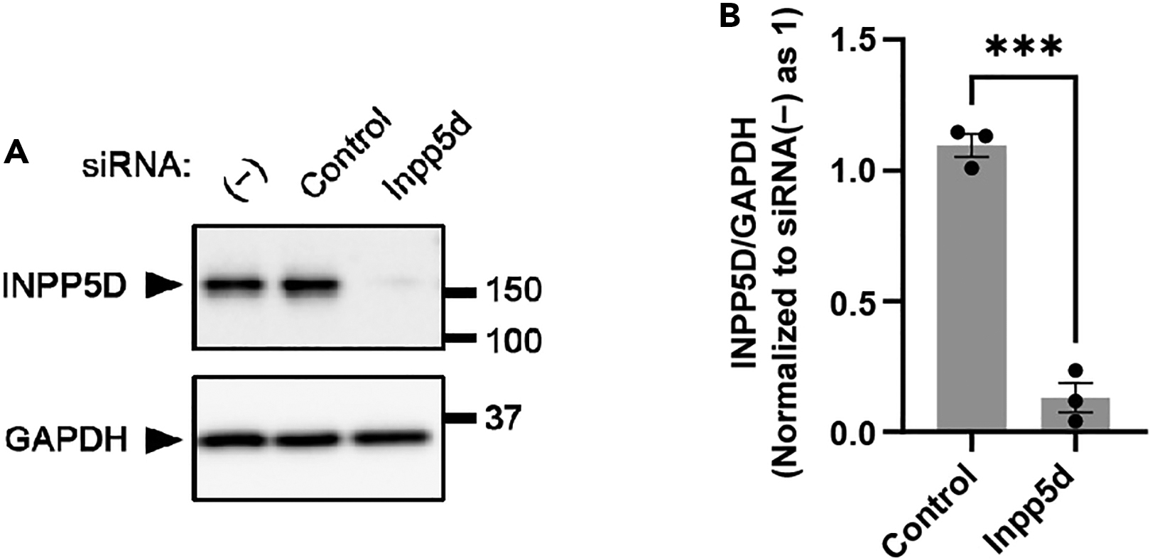 Cell Press: STAR Protocols
